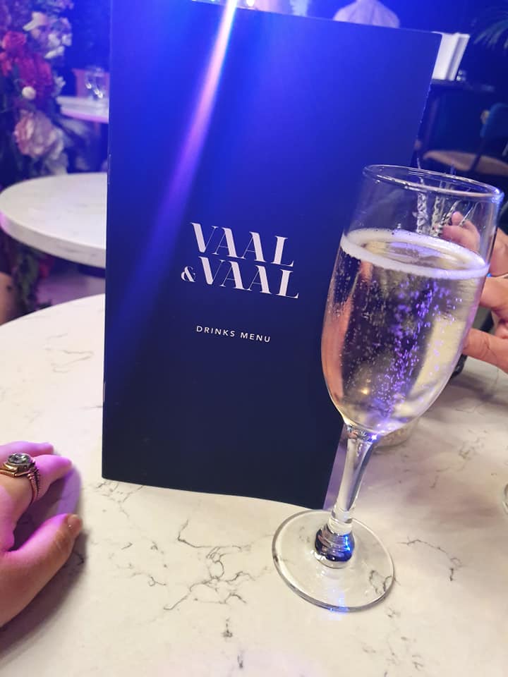Vaal & Vaal Launch Event - Louna Stone Author